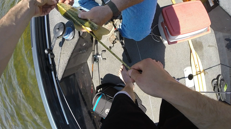 Biggest Bass Wins! – UPSCALE LURES